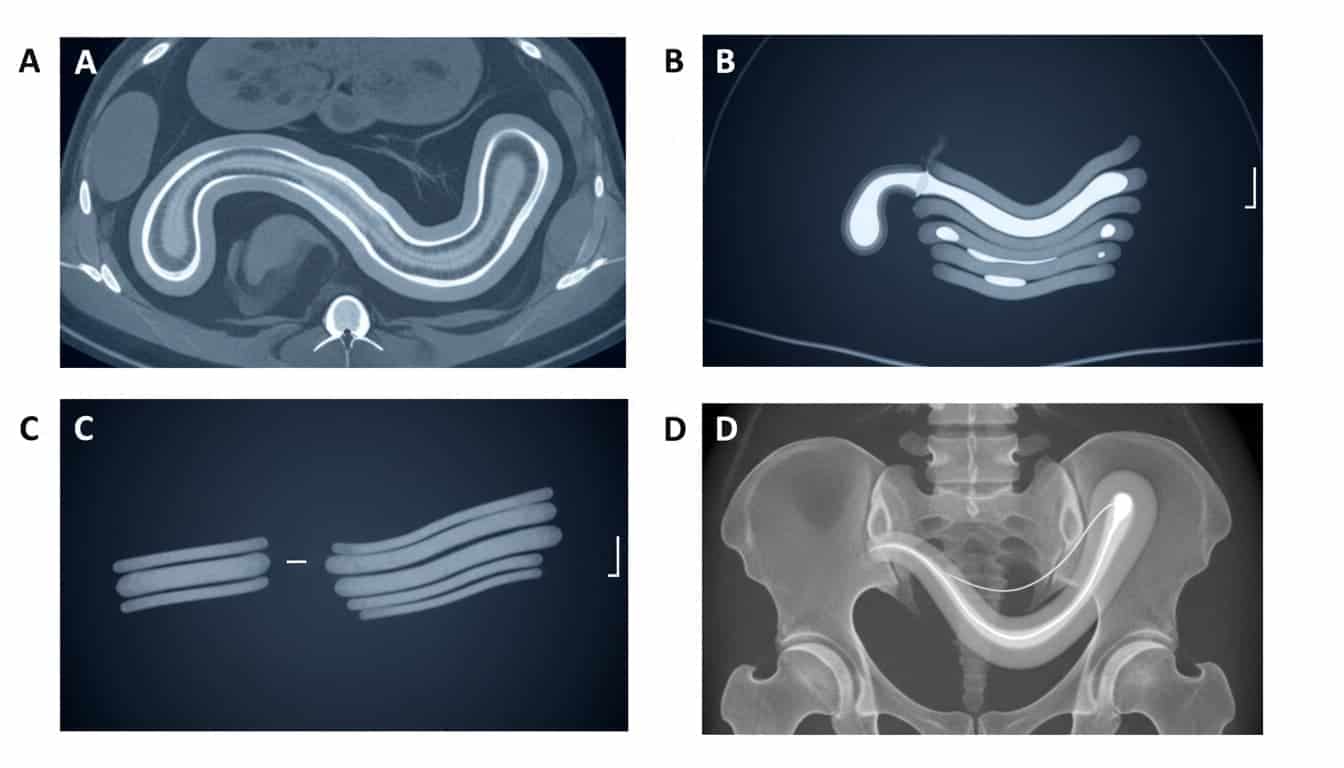 PSRT | Pennsylvania Society of Radiologic Technologists